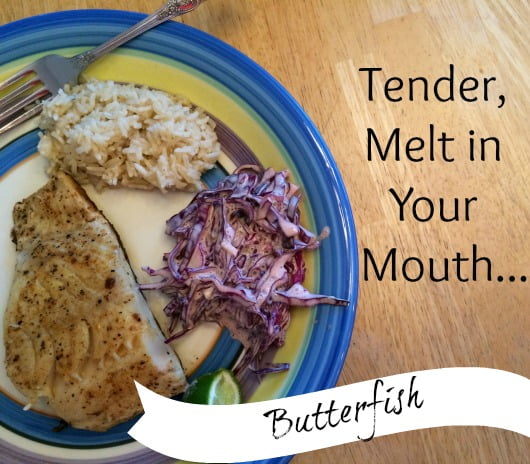 Tender Fish