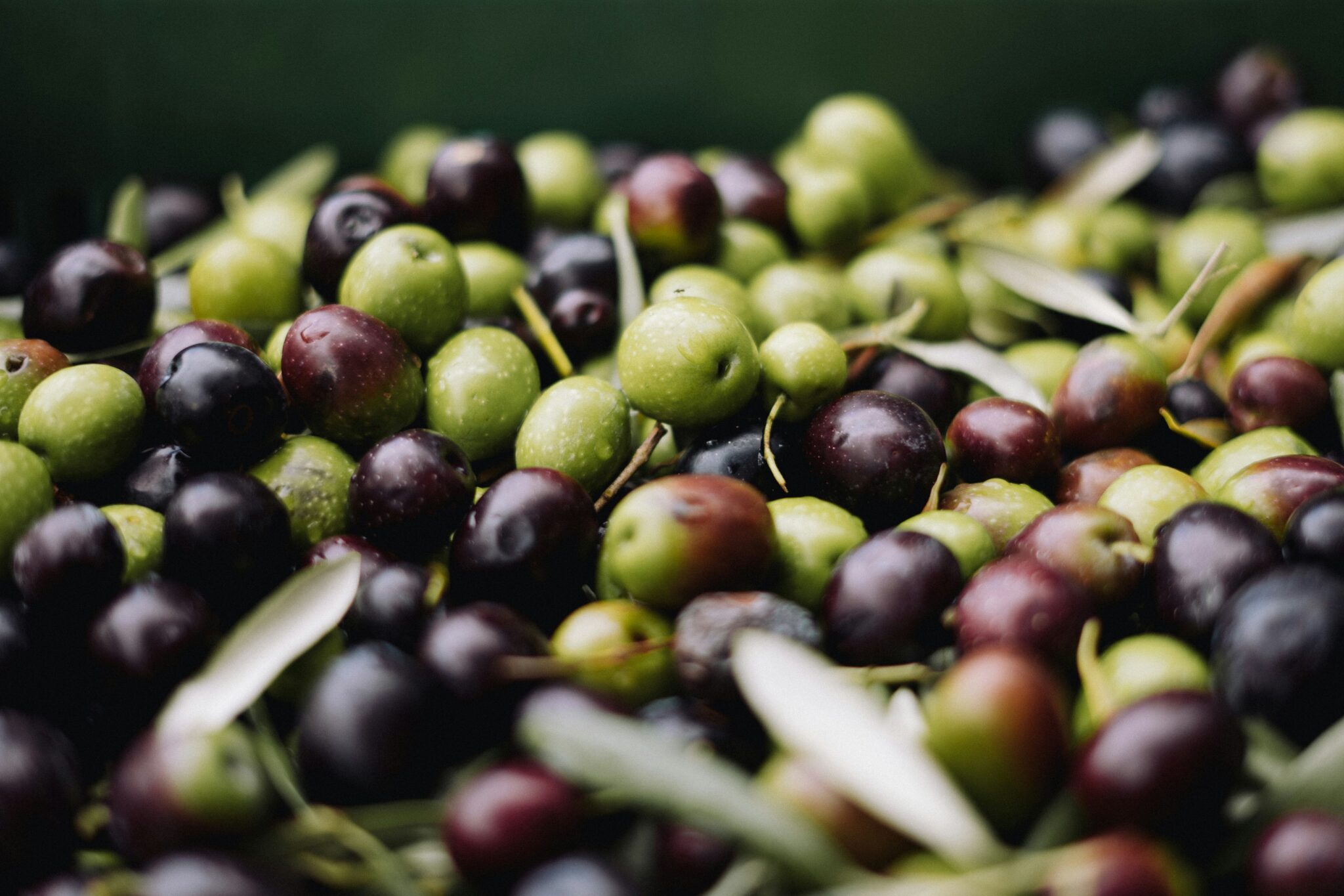 Know Your Olive Oil Source