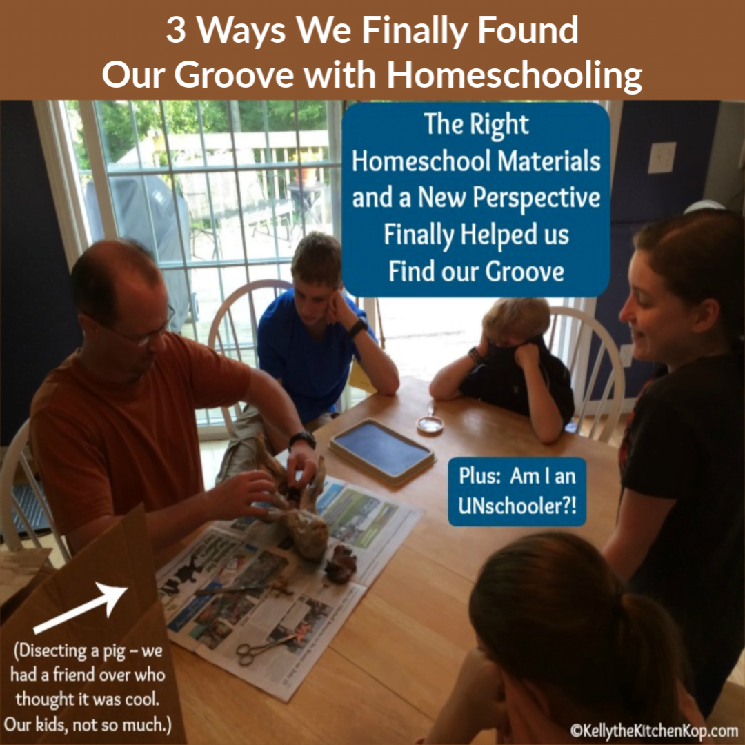 Best Homeschool Materials best-homeschool-materials