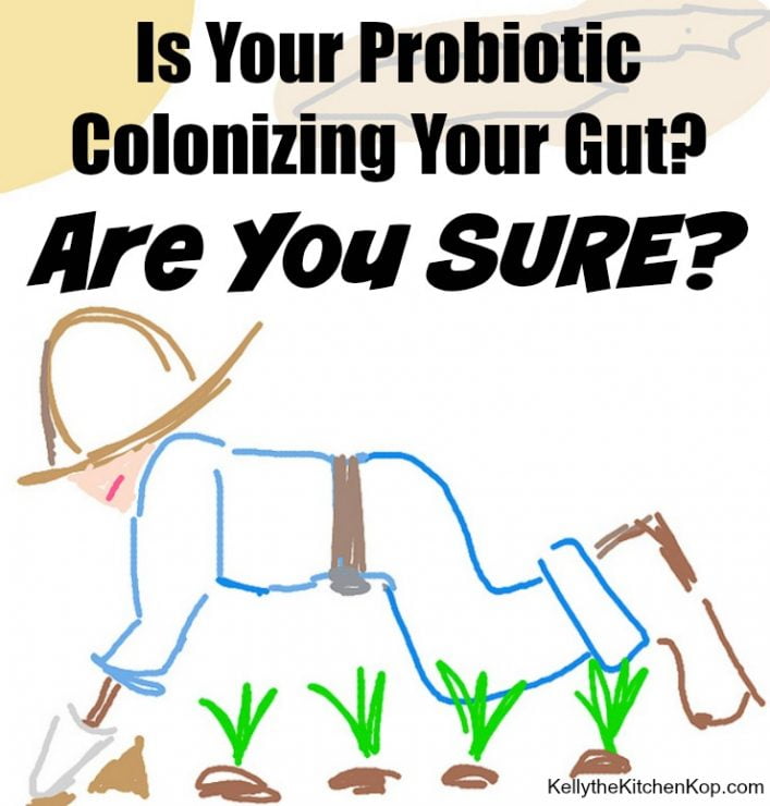 Is my probiotic really helping or am I wasting $? - Kelly the Kitchen Kop